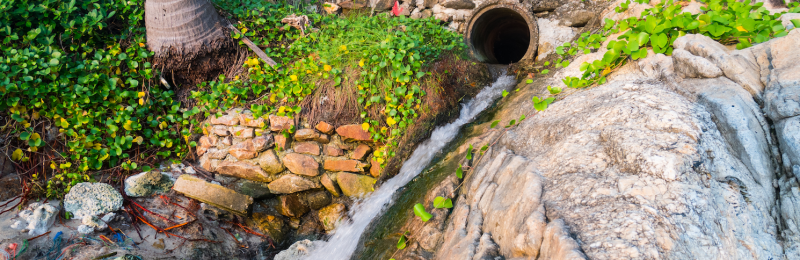 4 Types of Liquid Waste You Should Know - Paul's Rubbish Removal