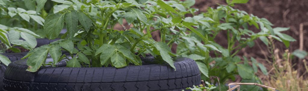 10 Brilliant DIY Ideas for Upcycling Old Tyres - Paul's Rubbish Removal